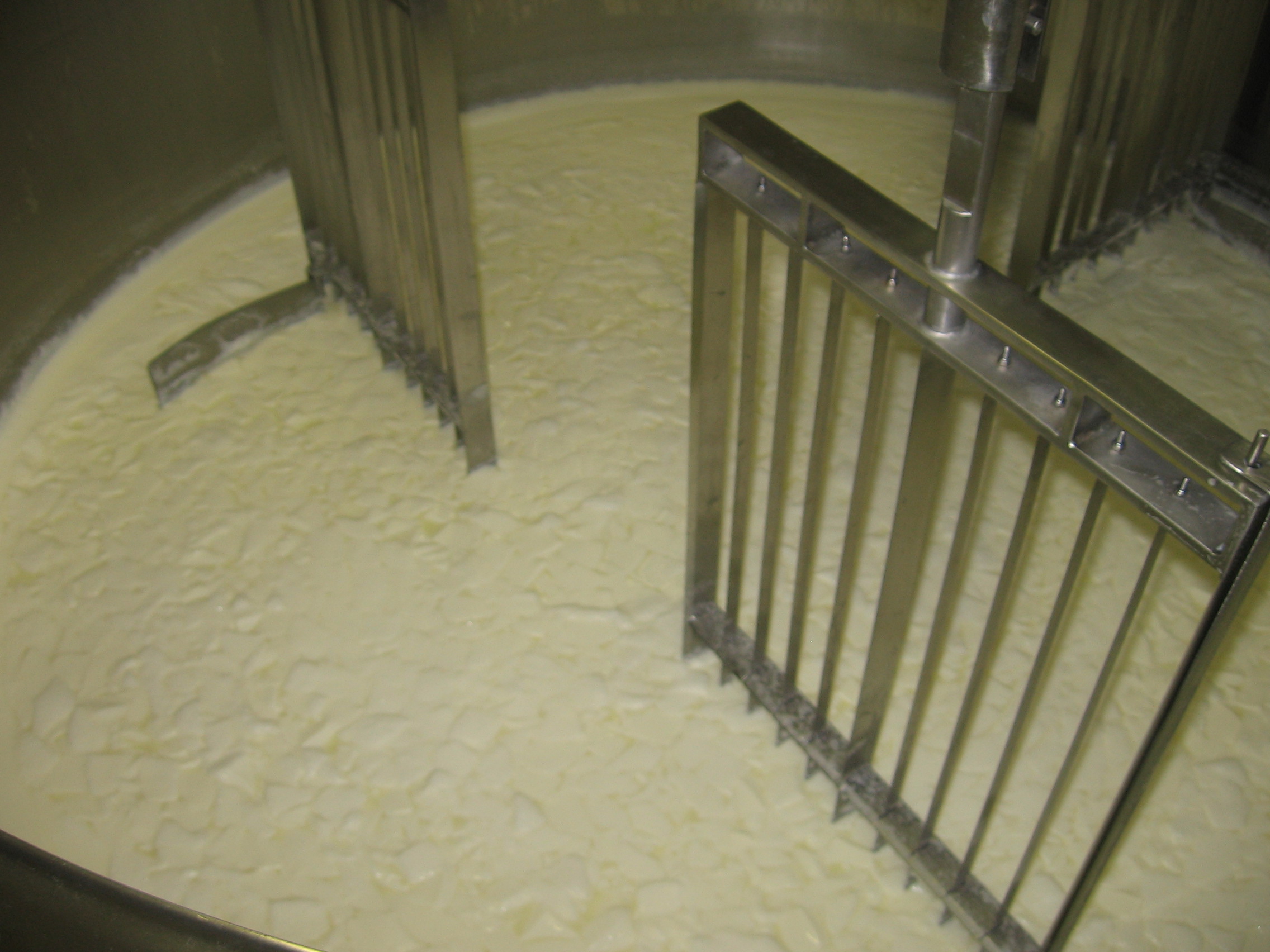 Farm - dairy Bogataj, Gorenja vas, Slovenia | Plevnik