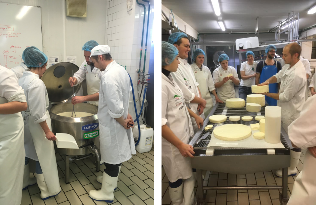 Šole zaupajo Plevniku | Plevnik