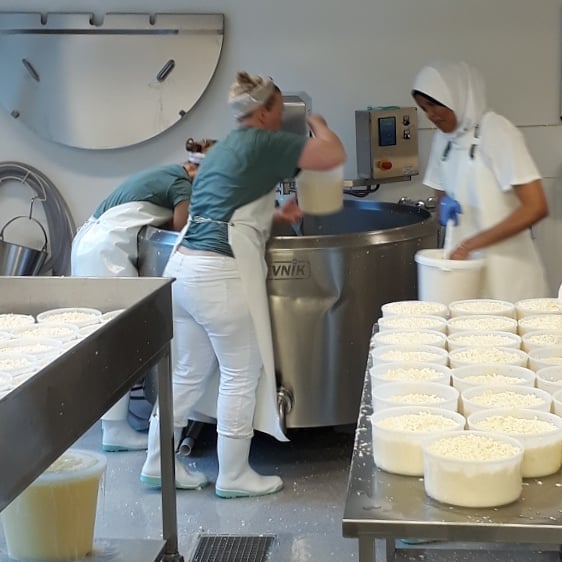 Stavanger Ysteri, Norway | Plevnik